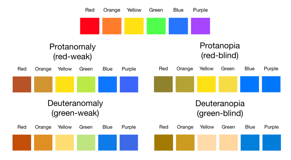 Uncovering Red Green Colorblindness Diagnosis Methods And Tests Covisn